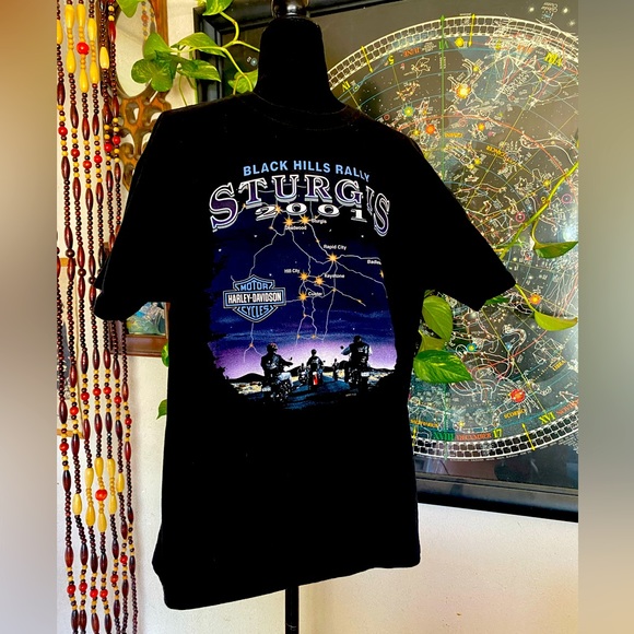 Harley-Davidson | Shirts | Nwot 20 Black Hills Rally Sturgis Harley ...